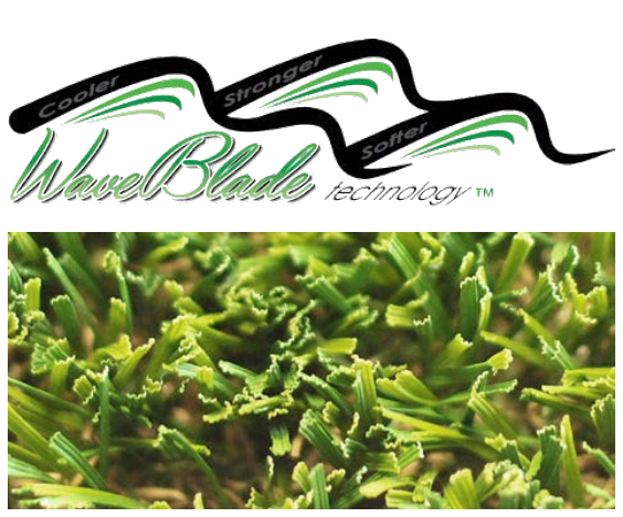 rainfrog landscaping | Landscaping | Design